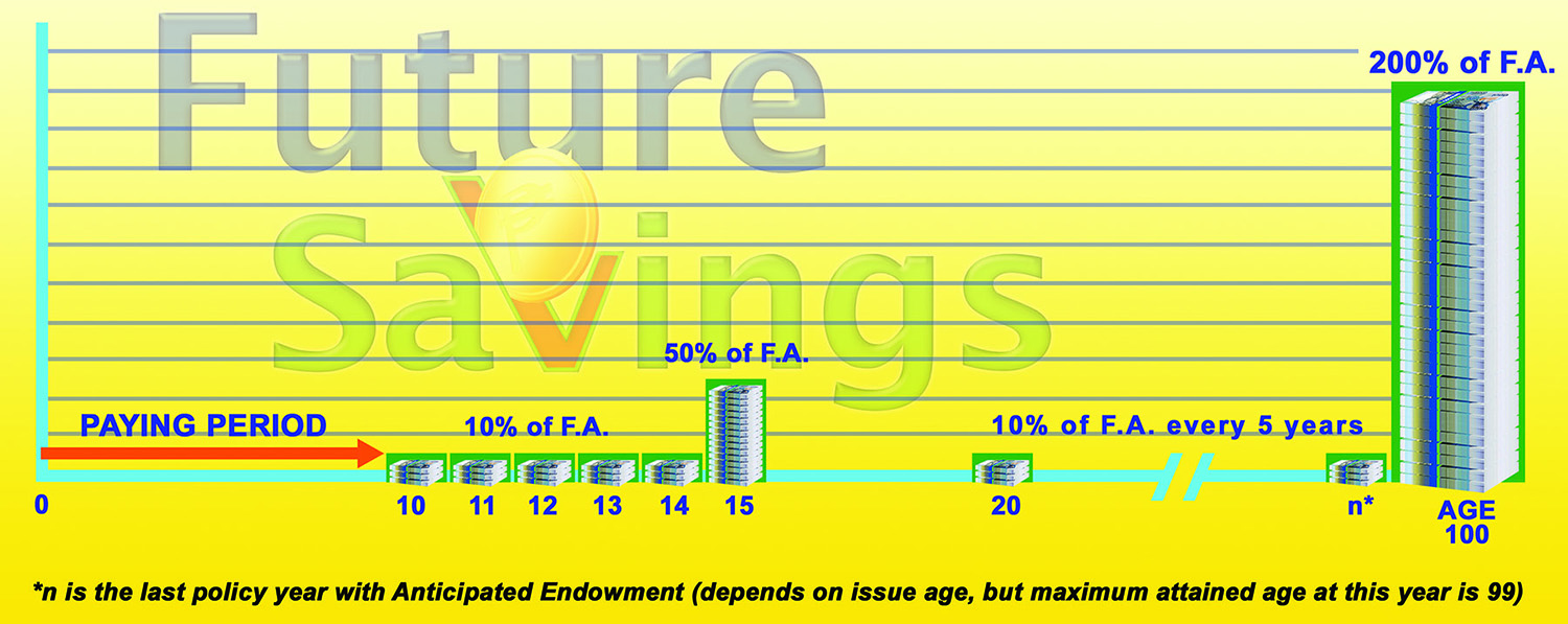 Variable Life Fund - Cocolife